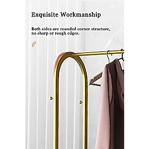 MAIKAILUN 2- layer Clothing Rack Gold,Modern Industrial Clothes Rack for hanging Clothes with Top Rod and Bottom Shelves, Multi-functional Heavy Duty Garment Rack Cloest Organizer and 6 Hooks (59")