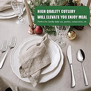60 Piece Silverware Set for 12, Terlulu Stainless Steel Flatware Set, Heavy Duty Cutlery Utensil Include Forks Knives Spoons, Mirror Polished Tableware Set for Home Restaurant Party, Dishwasher Safe