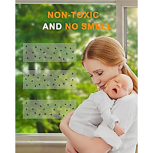 Window Fly Traps Indoor Clear 30 Pack, Sticky Window Fly Paper Strips Indoor Fly Catchers Flypaper for Home