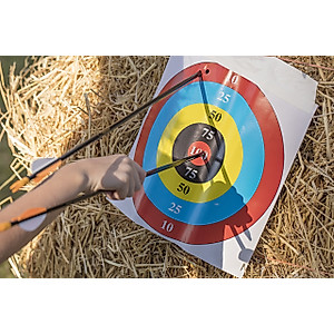 Bear Archery Youth Safety Glass Arrows, Durable & Splinter-Free Fiberglass Arrows, Nocks and Points Included, 26" Length