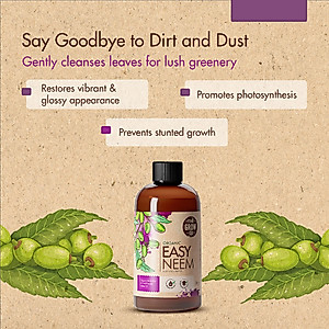 Organic Neem Oil for Plants, Cold Pressed Neem Oil Extract from Neem Plant, Water Soluble Pre-Emulsified Neem Oil Spray for Indoor Plants & Outdoor Plants, Neem Spray for Shiny Plant Leaves, 8 fl. oz.