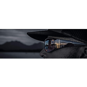 Berkley Ber003 Sunglasses Ber003 Polarized Fishing Sunglasses, Gloss Tortoise Frame/Brown