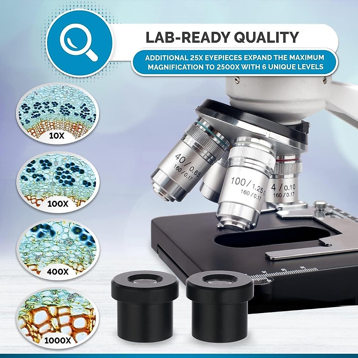 AmScope B120B-WM Siedentopf Binocular Compound Microscope, 40X-2000X Magnification, Brightfield, LED Illumination, Abbe Condenser, Double-Layer Mechanical Stage, Includes Book