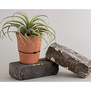 Foreside Home & Garden Terracotta Handmade Votive Candle Holder