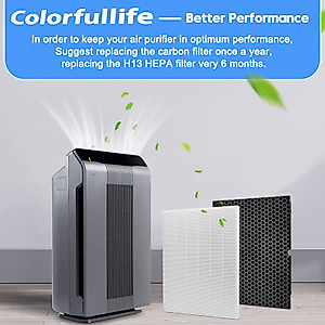 Colorfullife 2 Pack 116130 Replacement Filter H for Winix 5500-2 Air Purifier, 2 Pack HEPA Filters and 2 Pack Activated Carbon Filter Combo Pack