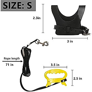 Pet Parrot Bird Harness and Leash, Adjustable Bird Harness Leash for Trainning, Black Fashion Vest, Suitable for Cockatiel,Parrot,Parakeets Conures, Macaws, Parrots, Love Birds，Finches (S)
