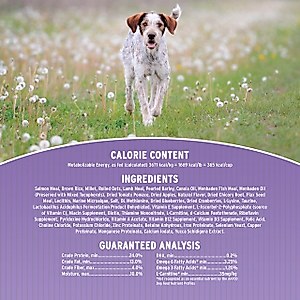 Annamaet Original Option Formula Dry Dog Food, 24% Protein (Salmon & Brown Rice), 5-lb Bag