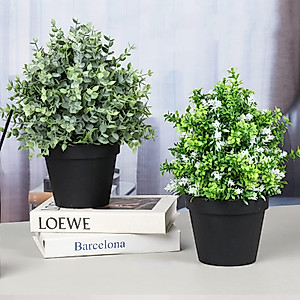 FELICIGG 2 Pack Artificial Plants in Pot, Faux Potted Greenery Plant for Indoor Decorations, Small Fake Plastic Plant for Home Office Garden Decoration,D+d