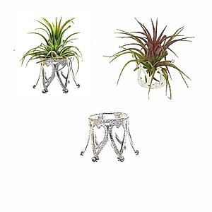 Newwe Pack of 3 Silver Air Plant Holder Cute Crystal Tillandsia Display Container Home Decors Office Desktop Marble Egg Sphere Stand