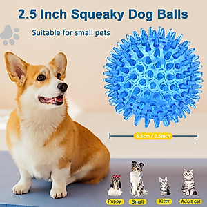Beieverluck 12 Pack 2.5 Inch Squeaky Dog Toy Balls Spikey Dog Balls Large Dog Chew Toys for Medium Large and Small Dogs for Aggressive Chewers, 6 Colors