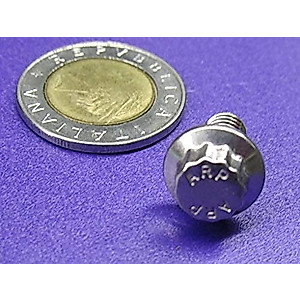 18-8 Stainless Steel 12 Point FT Bolts 1/4"-20 Thread x .500 Length 5 pcs