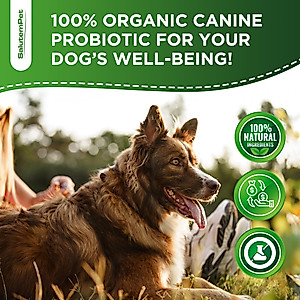 Probiotics for Dogs | Liquid Probiotics for Dogs | Prebiotic for Dogs & Digestive Enzymes | Puppy Probiotic | Dog Probiotics and Digestive Enzymes | 2 Oz