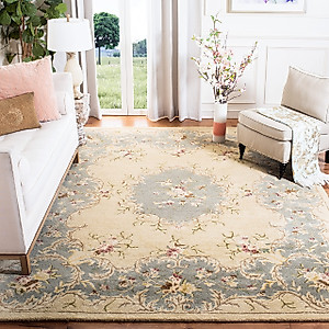 SAFAVIEH Bergama Collection Area Rug - 9' x 12', Ivory & Light Blue, Handmade French Country Wool, Ideal for High Traffic Areas in Living Room, Bedroom (BRG166A)