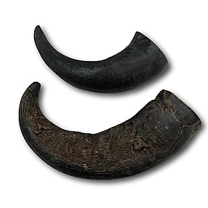 Top Dog Chews – Water Buffalo Horn, Long Lasting Dog Chew for Aggressive Chewers, All Natural, Dog Bone for Large & Medium Dogs, 2 Pack