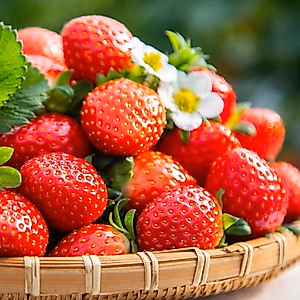 ZEshops 200pcs Cream Strawberry Seeds - Hardy Perennial Herb, Fall & Spring Planting, Vibrant Multi-Color Harvest (Red Strawberry)