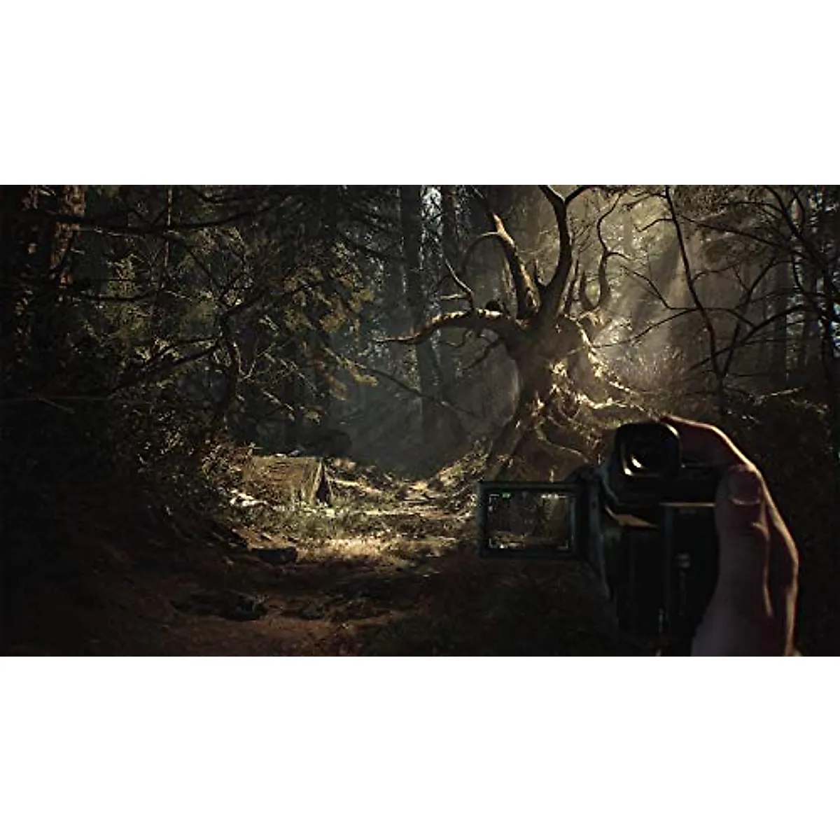 【2020年夏発売予定】ブレア・ウィッチ 日本語版 初回限定版