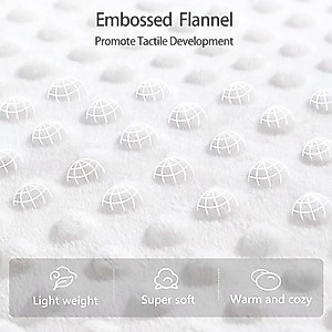 insular Baby Blanket for Boys Girls Soft Plush Minky with Dotted Backing, Double Layer Receiving Blanket for Stroller Crib Newborn Toddler Bed Blanket 42 x 30 in, Jungle Lion