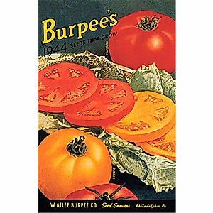 Vintage Burpee's 1944 Seeds That Grow Tomato Seeds Metal Tin Sign 8x12 Inch Retro Home Kitchen Outdoor Garden Wall Decor Tin Metal Poster