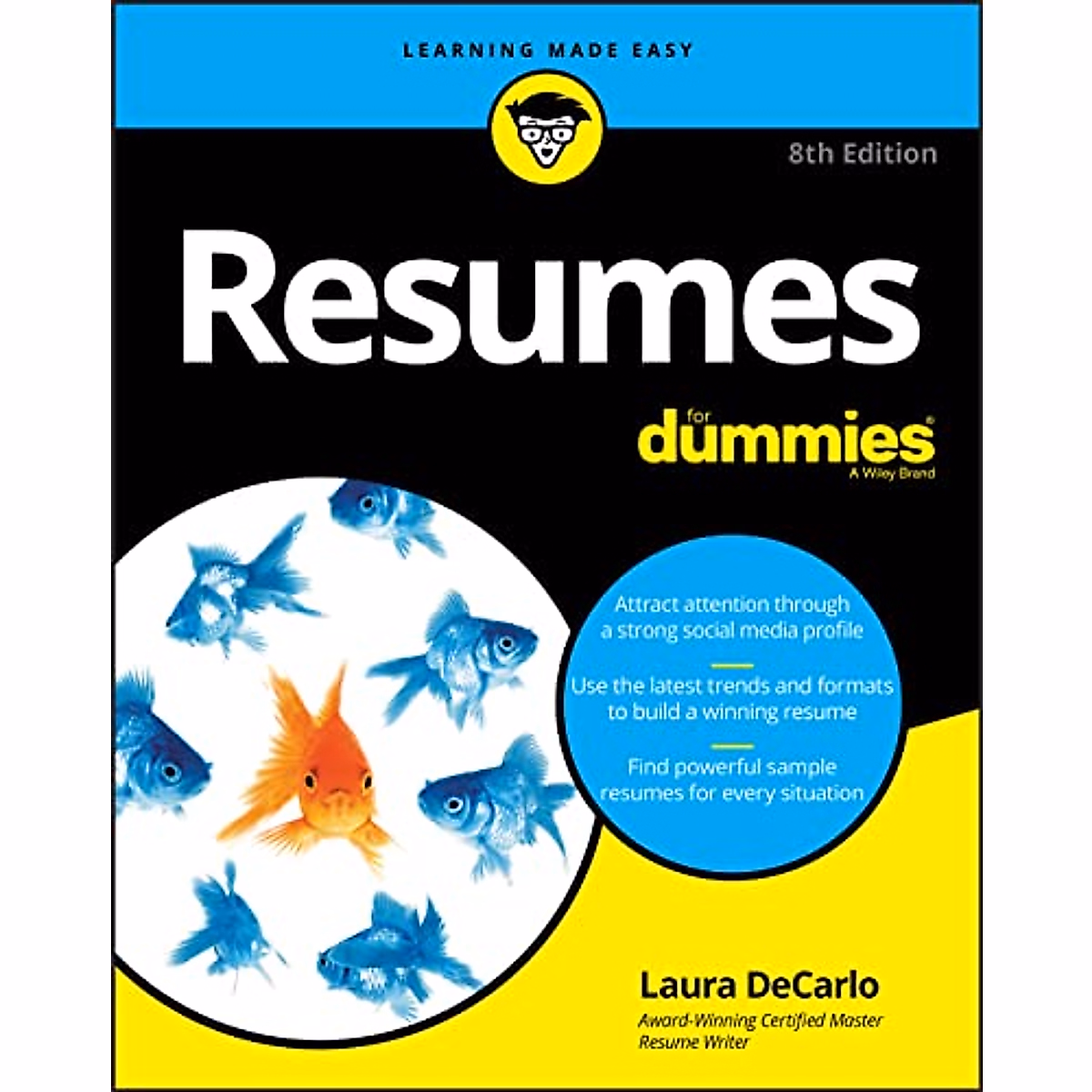 Resumes For Dummies
