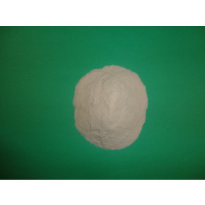 Tryptone (Pancreatic Digest of Casein) - 10 Grams
