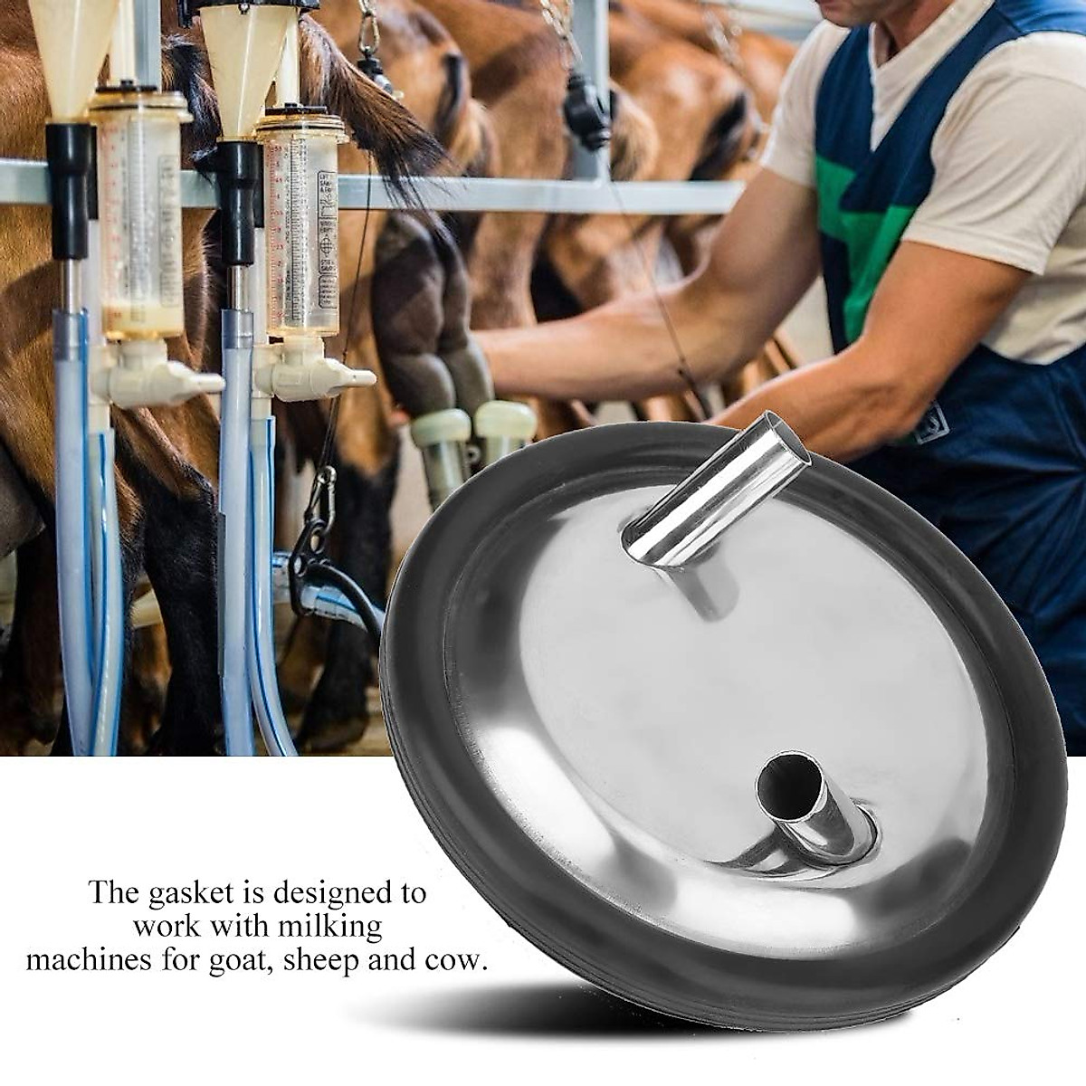 Milk Bucket Lid - Stainless Steel Milk Bucket Lid And Gasket For Milking Machine Two Open Lid