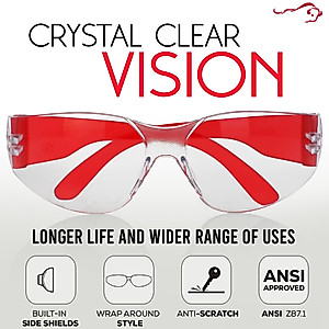 BISON LIFE Safety Glasses for Kids 12 Pack | ANSI Z87 Impact and Scratch Resistant, Clear Lens Assorted Color Temples, Child Youth Size Science Glasses Variety Pack