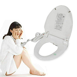 DENESTUS Upgraded Smart Electric Toilet Seat Auto Deodorization Warmer Dual Nozzles Fast Self Cleaning Bidet Cover Adjustable Temperature Janpan Style Fit Summer and Winter Professional Kits