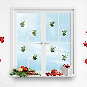 Jetec 12 Pcs Air Plants Holder, Acrylic Air Plant Hanger with Mounting Tape for Hanging Air Plants on Glass Display Home Decoration, Plants Not Included