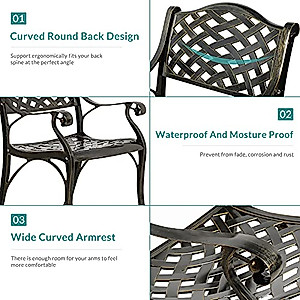 MEETWARM 2 Piece Patio Dining Chairs, Outdoor All-Weather Cast Aluminum Chairs, Patio Bistro Dining Chair Set of 2 for Garden Deck Backyard, Lattice Weave Design