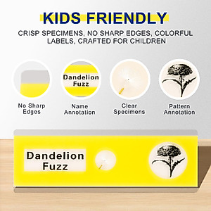 AOTRUTII Prepared Microscope Slides for Kids, 48Pcs Plastic Animals Plants Flowers Microscope Sample Slides, Ideal for Kids Students