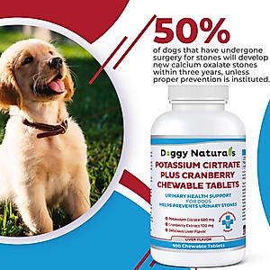 Potassium Citrate Plus Cranberry Supplement for Dogs (100 Tablets) - Urinary Tract Support-Helps Deter Formation of Calcium Oxalate Stones - Deters Bladder & Kidney Stones (Made in U.S.A)