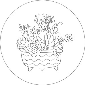 Blooms & Succulents Embroidery Pattern Transfers (set of 10 hoop designs!)