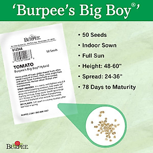 Burpee 61234E Big Boy Tomato, 125 seeds, Red