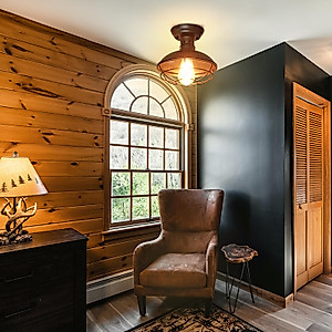 2 Pack Farmhouse Flush Mount Ceiling Light - Easric Industrial Ceiling Light Fixture Rustic Black Metal Cage Close to Ceiling Lamp E26 Base for Hallway Foyer Kitchen Porch