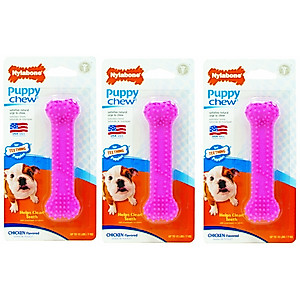 Nylabone (3 Pack) Just for Puppies Petite Pink Dental Bone Chew Toy