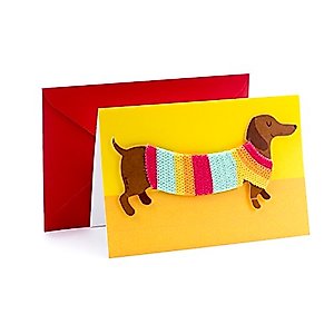 Hallmark Signature Birthday Card with Removable Dachshund Magnet (Dog in Sweater)