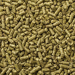 Mazuri | Nutritionally Complete Chinchilla Food | 2.5 Pound (2.5 lb.)