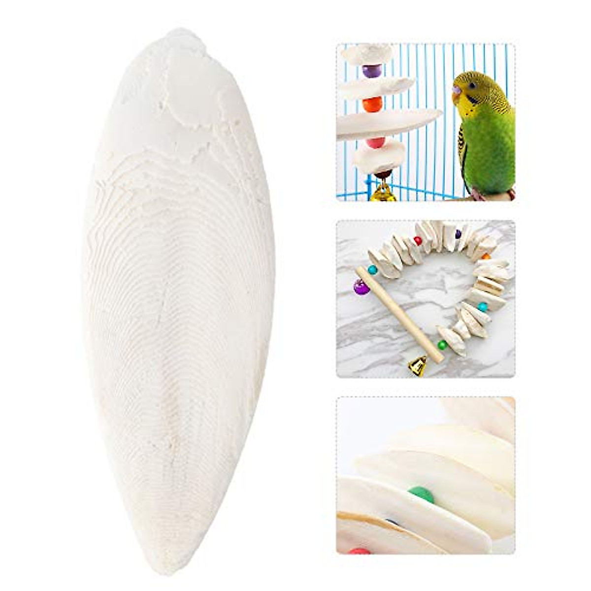 TEHAUX Bird Cuttlebone for Parakeets, Natural Cuddle Bone, Chewing Cuttlefish Bone for Sharp Beaks, Natural Birds Calcium Suitable for Parrot Cockatiels Budgie Conures