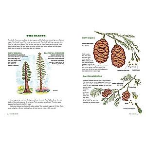 The Tree Book for Kids and Their Grown-Ups