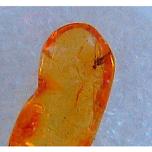 Genuine Baltic Amber Stone with Fossils Insects Inclusions in Magnifying Box 4 pcs