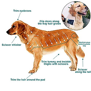 AngFan Dog Clippers for Grooming 16pcs Dog Grooming Kit for Small Large Profesional Cordless Dogs Grooming Clippers Supplies Dog Hair Clippers Low Noise