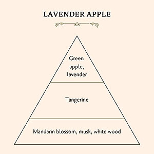 Sabon Body Scrub — Lavender Apple | Exfoliating Dead Sea Salt Body Scrub | Lavender, Apple | For All Skin Types | 11.3 Oz