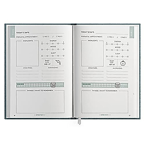The Pregnancy Journal for Expecting Moms: Beautiful and Modern Pregnancy Planner, Organizer and Memory Book Album for Mom and Baby - Pregnancy and Baby Journals for First Time Moms