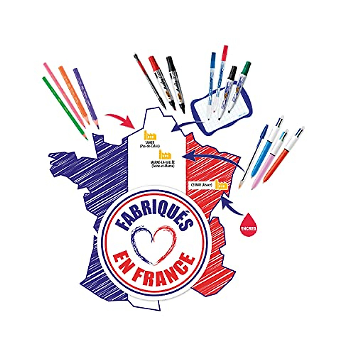 BIC 4 Colours Fun Retractable Ballpoint Pens - Box of 12 with Light Blue Pastel Barrel and Medium Point (1.0 mm)