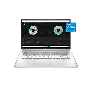 HP 17.3-inch Laptop, 11th Generation Intel Core i5-1135G7, Intel Iris Xe Graphics, 8 GB RAM, 512 GB SSD, Windows 11 Home (17.3-cn0026nr,Natural Silver)