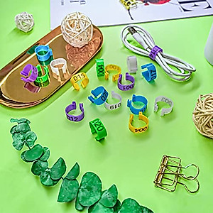 Keedolla 100Pcs 16mm Chicken Leg Rings 5 Colors Numbered Chicken Identification Leg Bands, Poultry Leg Bands Chicken Foot Rings for Ducks Chicks Bantam Guinea Pigeons Goose Gamefowl - Medium