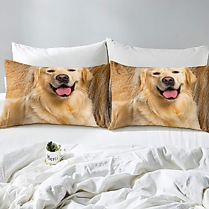 Golden Retriever Bed Sheet Set 3D Dog Print Bed Sheets for Kids Adults Cute Puppy Bedding Set Soft Warm Fluffy Dog Hair Fitted Sheet Bedroom Collection 3Pcs Full Size