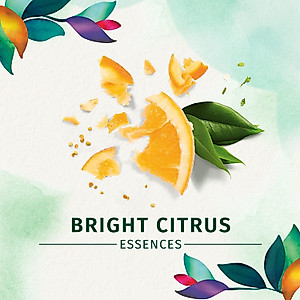 Herbal Essences Body Envy Volumizing Shampoo 10.1 oz (Pack of 3)