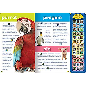Encyclopaedia Britannica Kids - Animal Sound Storybook Treasury 39-Button Sound Book - PI Kids