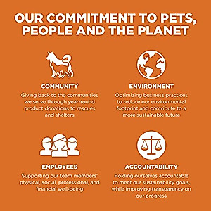 GO! SOLUTIONS Skin + Coat Care - Grain Free Dry Cat Food, 16 lb - Salmon Recipe - Cat Food for All Life Stages - with Probiotics